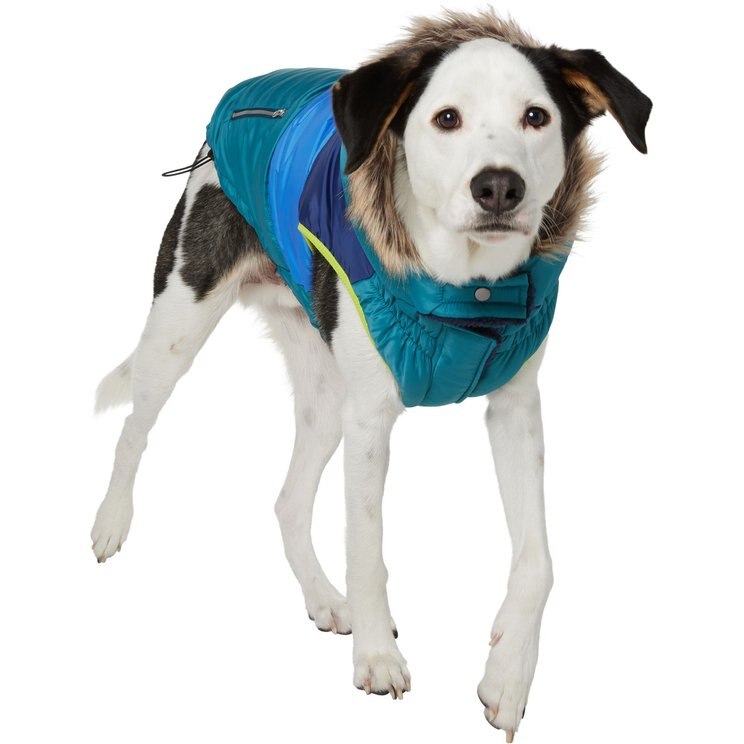 DOG JACKETS FOR LARGE BREEDS (Free Shipping) | Chewy