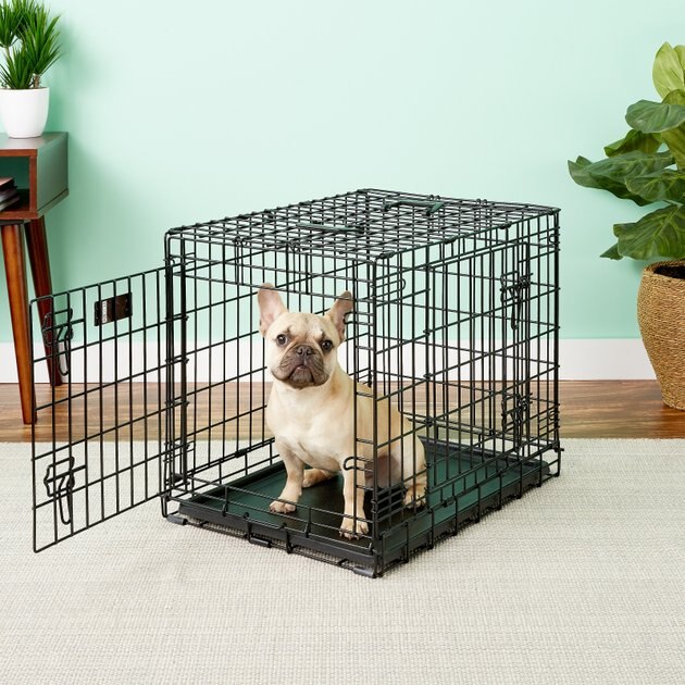 MIDWEST Ultima Pro Double Door Collapsible Wire Dog Crate, 24 inch ...