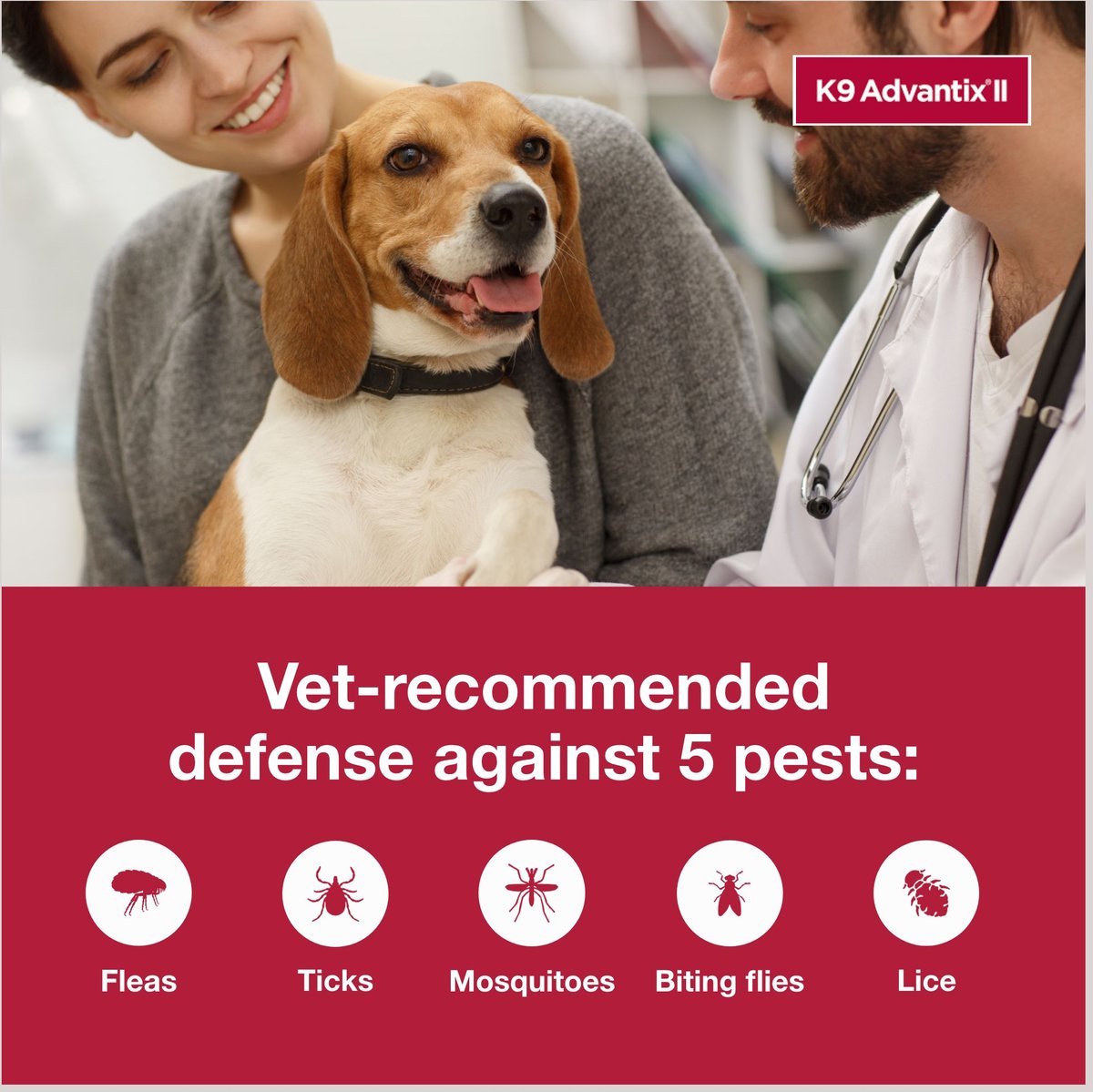 K9 ADVANTIX II Flea & Tick Spot Treatment for Dogs, 11-20 lbs, 4 Doses ...