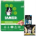 Iams Dry Dog Food (Free Shipping) | Chewy