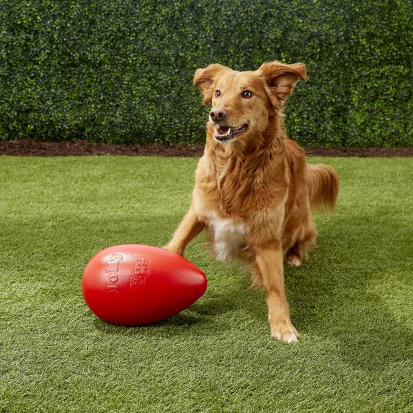 JOLLY PETS Jolly Egg Dog Toy, Red, 12-in - Chewy.com