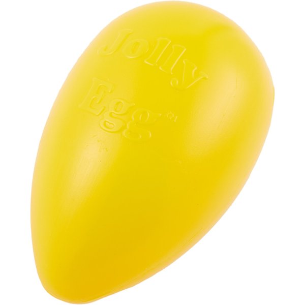 JOLLY PETS Jolly Egg Dog Toy, Yellow, 8-in - Chewy.com
