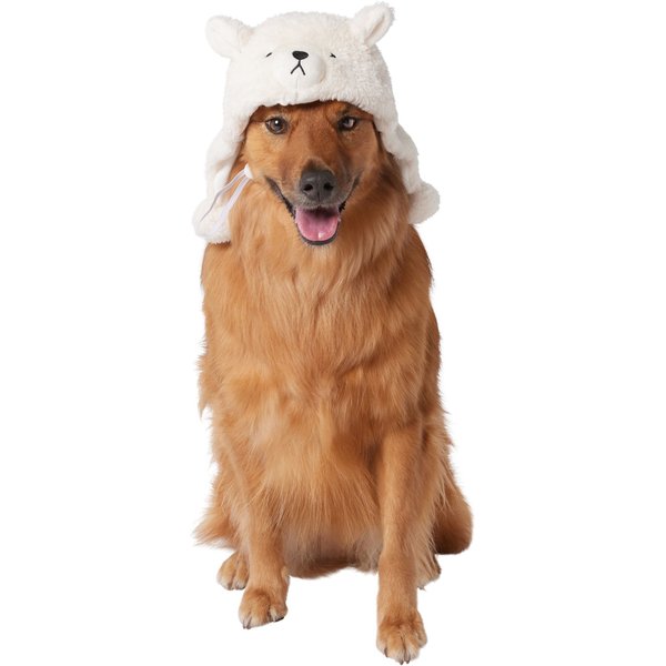 FRISCO Plush Polar Bear Dog & Cat Hat, Medium/Large - Chewy.com