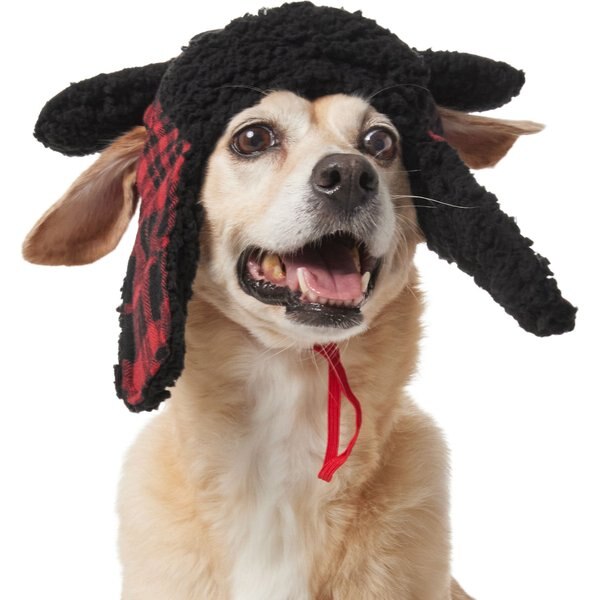 FRISCO Confetti Dog & Cat Birthday Hat, X-Small/Small - Chewy.com