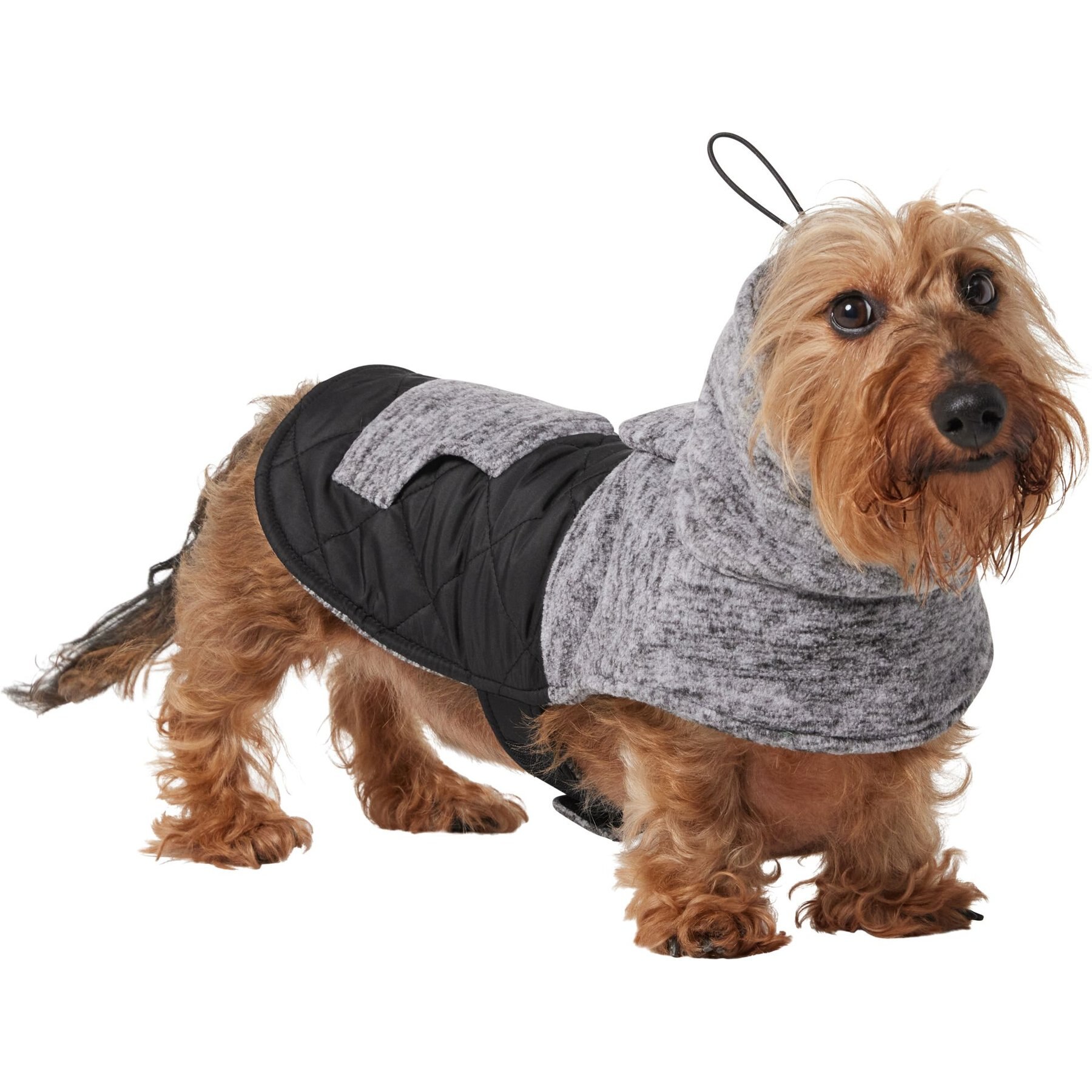 FRISCO Medium Weight Quilted Dog Coat with brushed Fleece Snood, Black ...