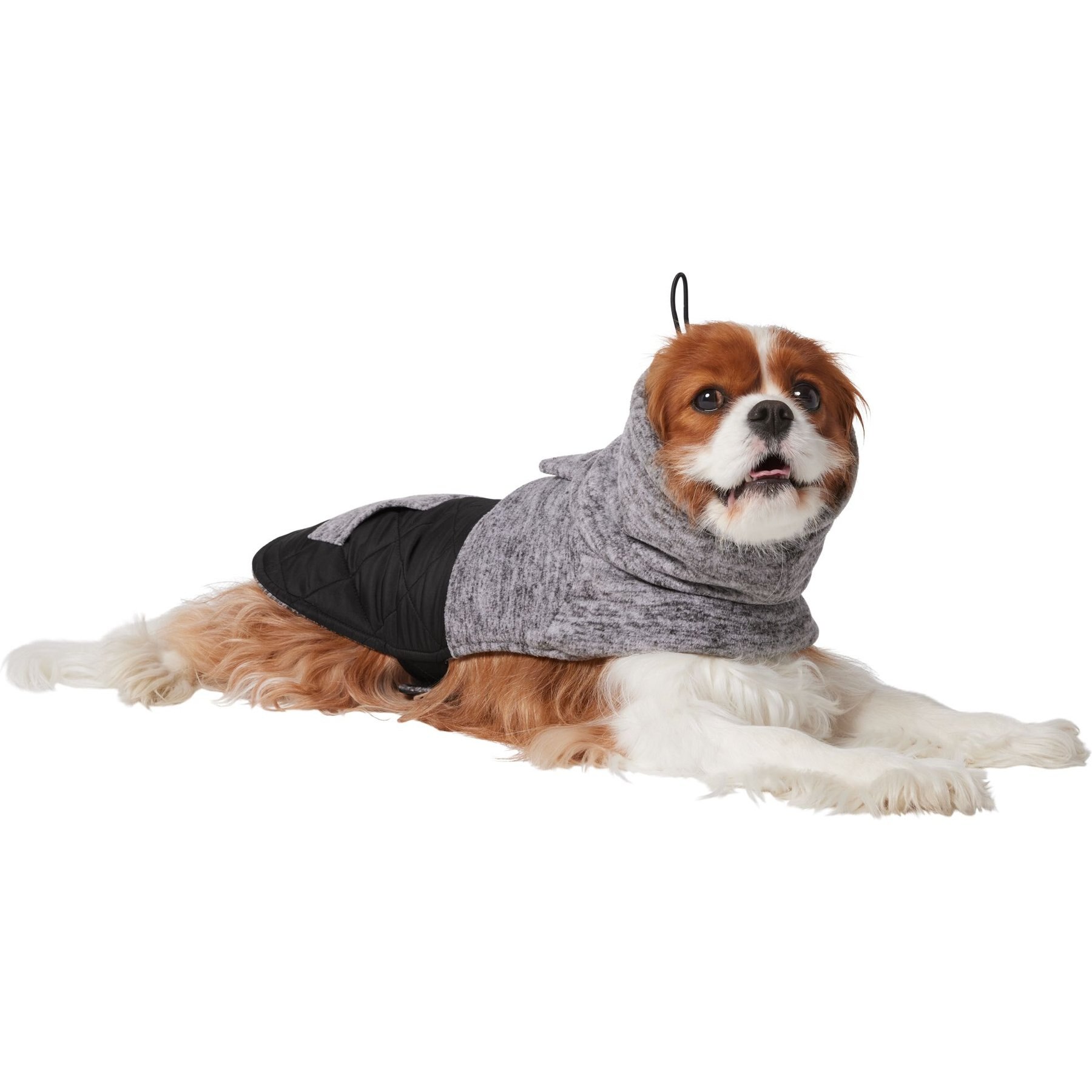 FRISCO Medium Weight Quilted Dog Coat with brushed Fleece Snood, Black ...