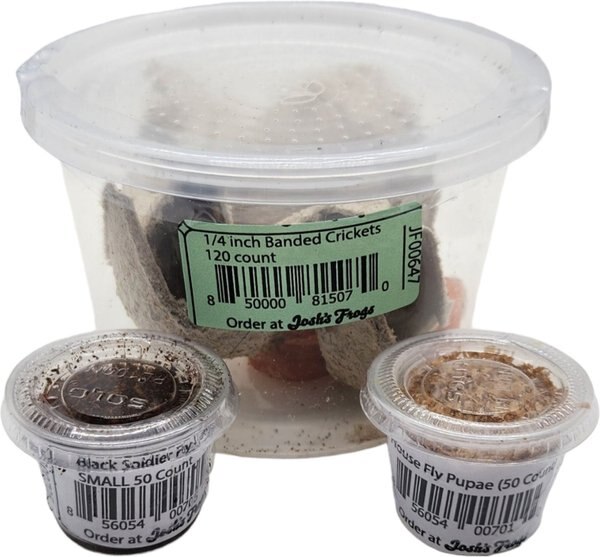 JOSH'S FROGS Baby Tree Frog Feeder Bundle, Small - Chewy.com
