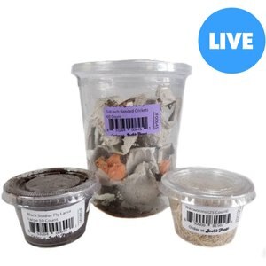 JOSH'S FROGS Pac-Man Frog Feeder Bundle - Chewy.com