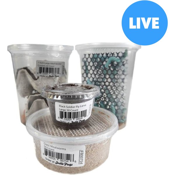 JOSH'S FROGS Leopard Gecko Feeder Bundle, Adult - Chewy.com