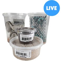 Leopard Gecko Habitat (Free Shipping) | Chewy