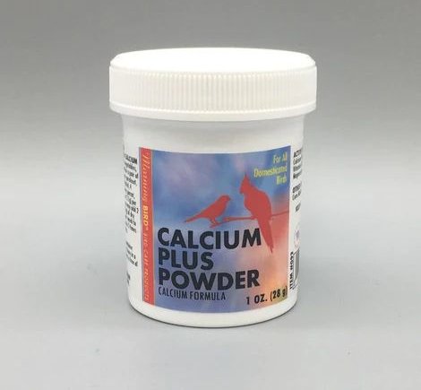 MORNING BIRD Calcium Plus Powder Bird Supplement, 1-oz jar - Chewy.com