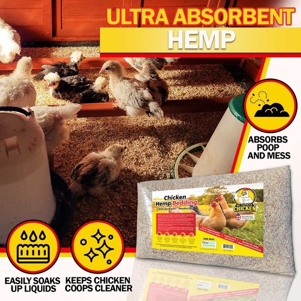 MY FAVORITE CHICKEN Hemp Chicken Coop Bedding with DooKashi Odor ...