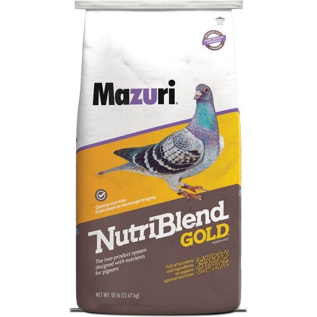 Mazuri for Birds - Free shipping | Chewy