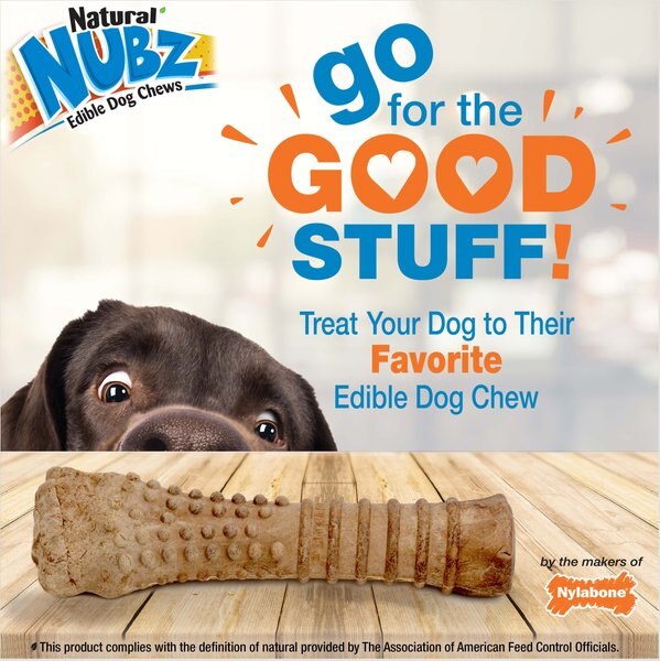 NYLABONE Nubz WILD Natural Long Lasting Edible Bison Flavor Dog Chews ...