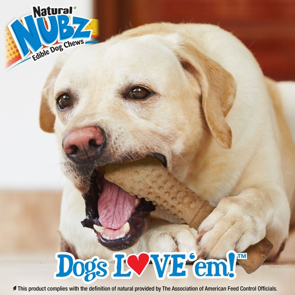 NYLABONE Nubz WILD Natural Long Lasting Edible Bison Flavor Dog Chews ...