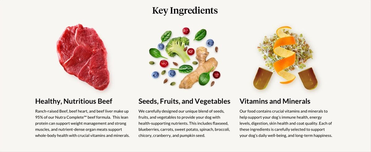 ULTIMATE PET NUTRITION Nutra Complete Premium Beef Freeze-Dried Raw Dog ...