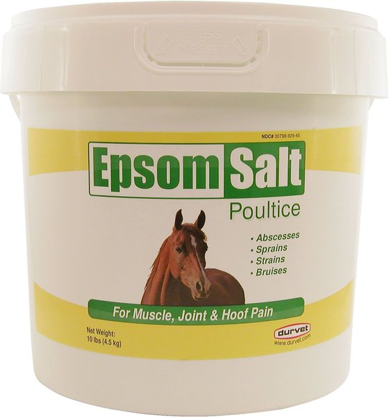 DURVET Epsom Salt Horse Muscle & Joint Pain Relief Poultice, 10-lb tub ...