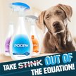 POOPH Cat & Dog Odor & Stain Eliminator, 20-oz bottle - Chewy.com