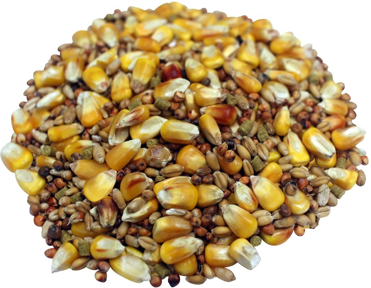 BROWN'S Bird Lover's Blend Duck & Goose Food, 7-lb bag, bundle of 4 ...