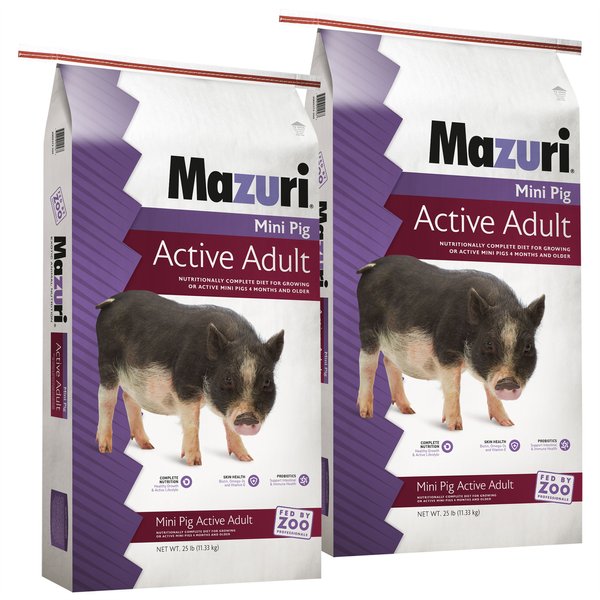 MAZURI Mini Pig Active Adult Food, 25-lb bag, bundle of 2 - Chewy.com