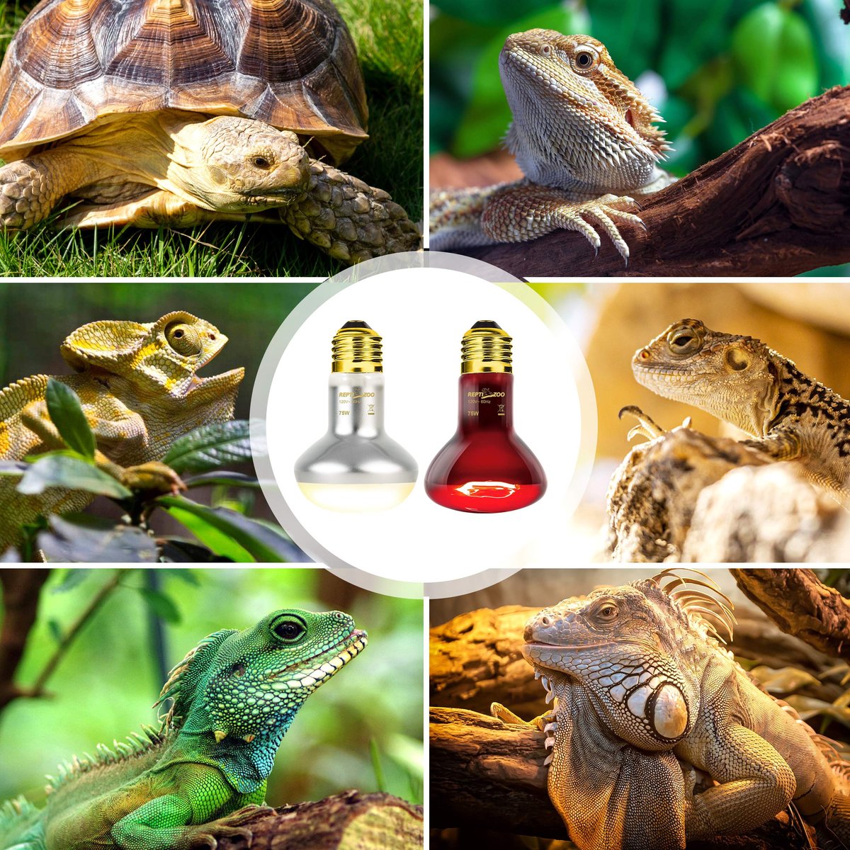Out of Stock - REPTI ZOO Basking Spot Lamp & Nocturnal Infrared Heat ...