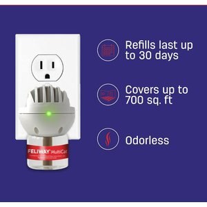 10 Best Cat Calming Pheromone Diffusers 2024: According to Reviews | Chewy