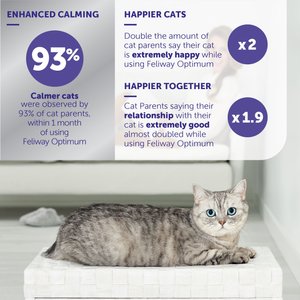 10 Best Cat Calmers 2024: According to Reviews | Chewy