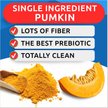 BARK&SPARK Pumpkin Powdered Fiber & Stool Softener Diarrhea ...