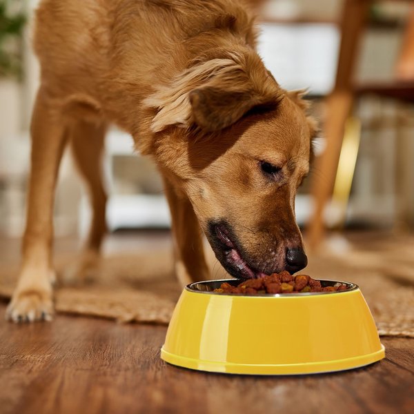 PEDIGREE Complete Nutrition Grilled Steak & Vegetable Flavor Dog Kibble ...