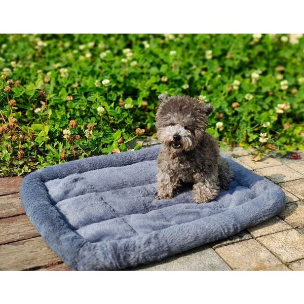 ARCHSTONE PETS Flat Bolster Rectangular Cat & Dog Crate Bed, Gray ...