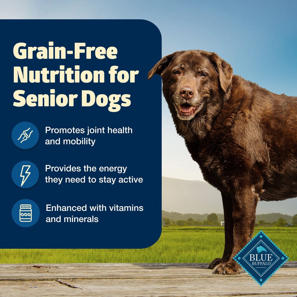 BLUE BUFFALO Freedom Senior Grain-Free Chicken & Potatoes Dry Dog Food ...
