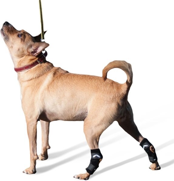 WALKABOUT Hock Support Dog & Cat Brace, Small - Chewy.com