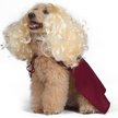 DISNEY Hocus Pocus Halloween Sarah Sanderson Cape & Pet Wig Dog Costume ...