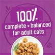 FRISKIES Poultry Variety Pack Canned Cat Food, 5.5-oz, case of 32 ...