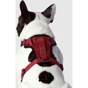 10 Best Front Clip Dog Harnesses 2025: According to Reviews | Chewy