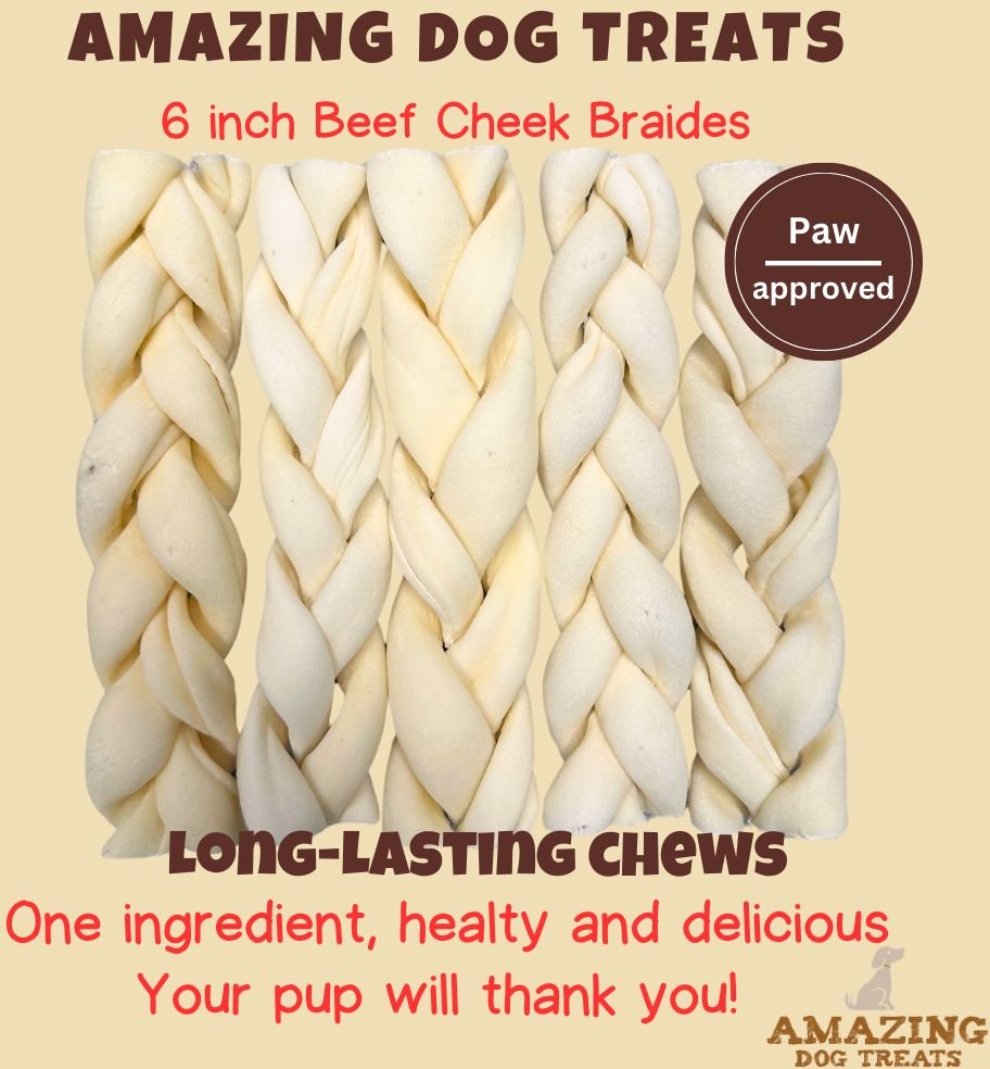 AMAZING DOG TREATS Beef Cheek Braided Dog Treats, 6-in, 10 count ...