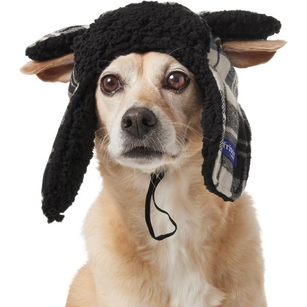 FRISCO Happy New Year Dog & Cat Hat, X-Small/Small - Chewy.com