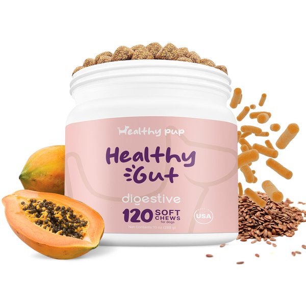 HEALTHY PUP Probiotic Soft Chews Digestive Aid for Dogs, 120 count ...