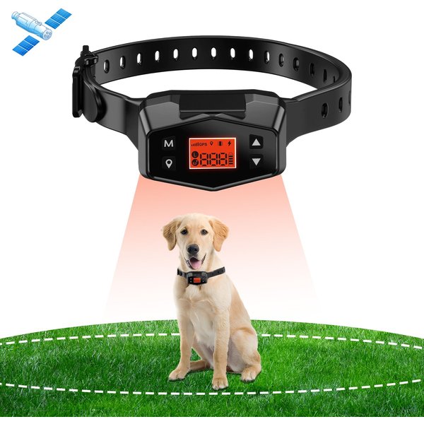 7 Best Electric Fence Systems for Dogs 2024: According to Reviews | Chewy