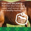 NUTRENA Empower Topline Balance Horse Supplement, 40-lb bag - Chewy.com