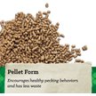 NUTRENA NatureWise Layer 16% Protein Pellet Chicken Feed, 50-lb bag ...