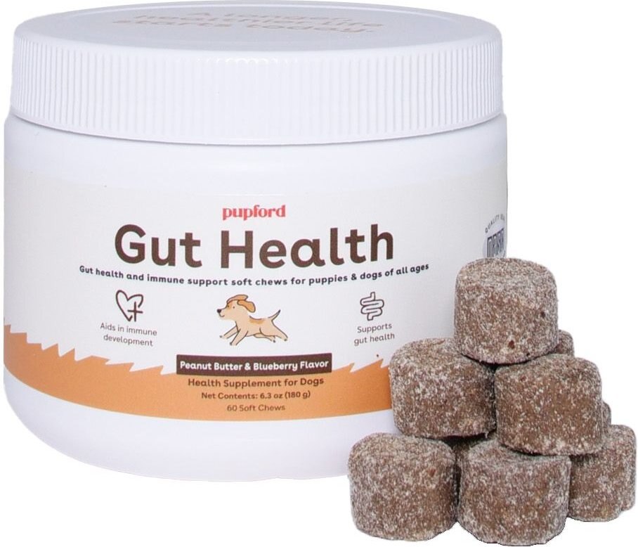 PUPFORD Gut Health & Immunity Puppy Supplement, 4.2-oz jar - Chewy.com