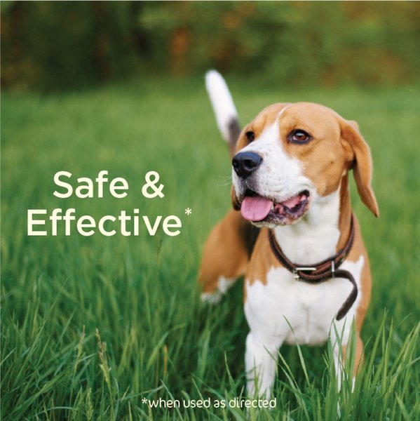 SIMPLESOURCE Flea & Tick Dog Yard & Kennel Spray - Chewy.com