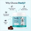 PAWFY Eye Support Peanut Butter Flavor Supplement for Dogs, 60 count ...