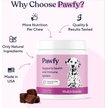 PAWFY Multivitamin Peanut Butter Flavor Supplement for Dogs, 60 count ...