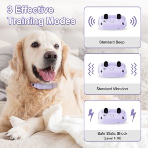 10 Best Vibrating Dog Collars 2024: According to Reviews | Chewy