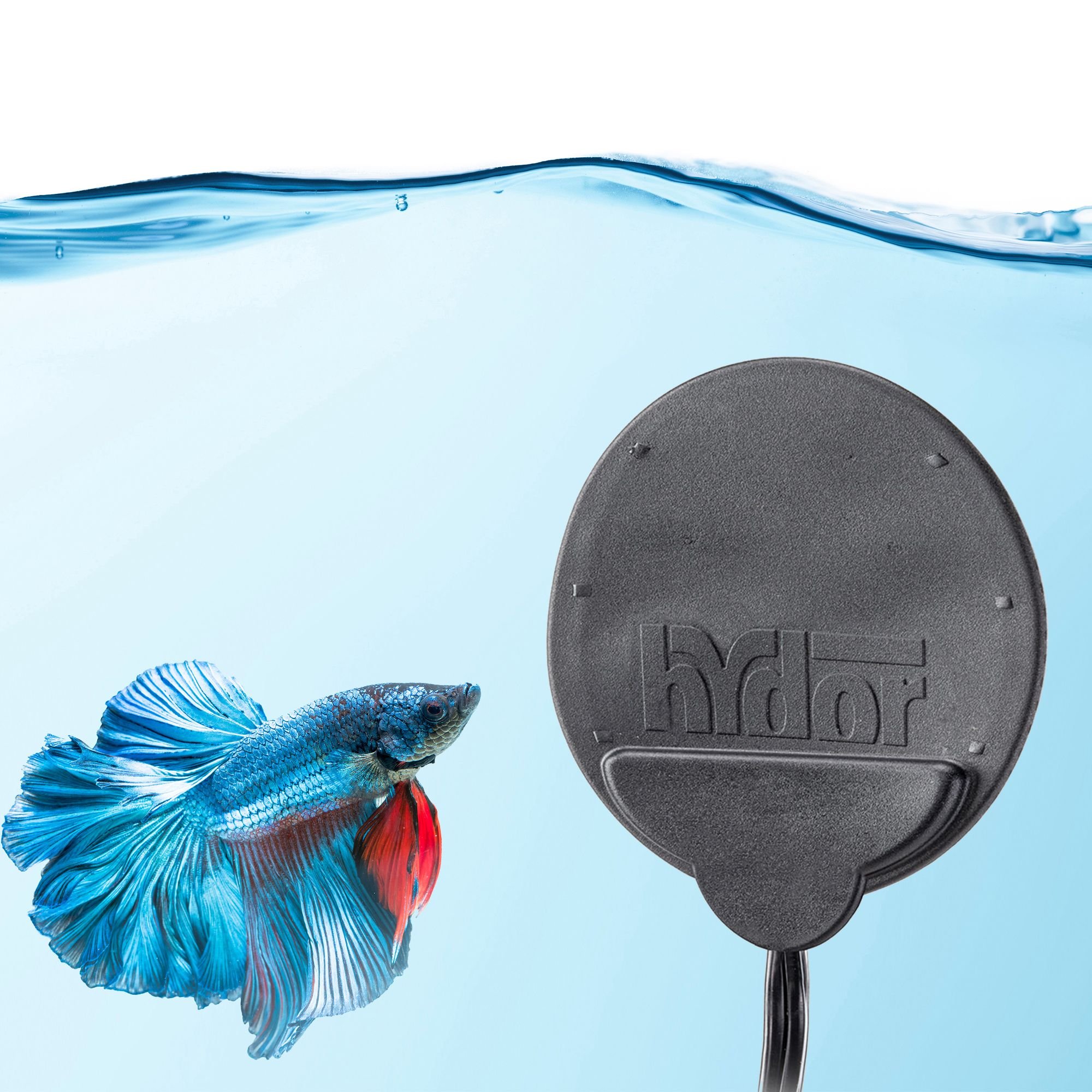 Questions and Answers about HYDOR Betta Bowl Slim Fish Tank Heater