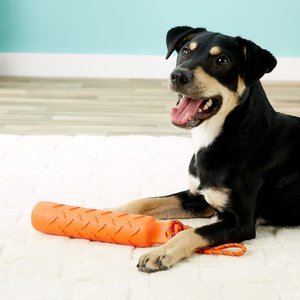 10 Best Dog Training Dummies 2025: According to Reviews | Chewy