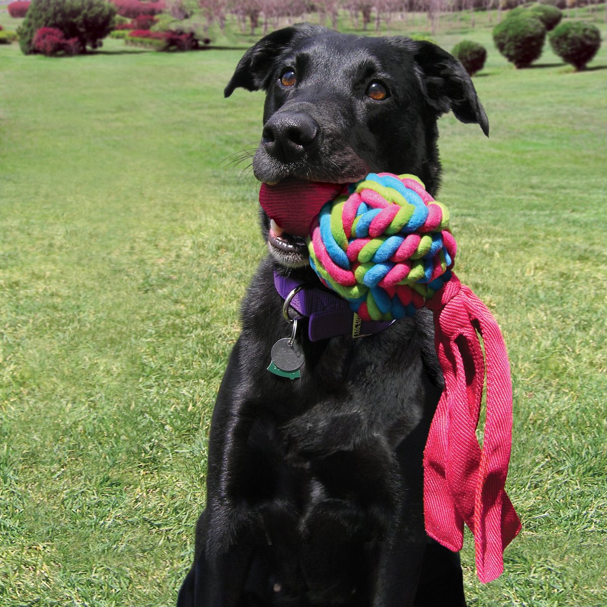 KONG Wubba Weave Dog Toy, Color Varies, X-Large - Chewy.com