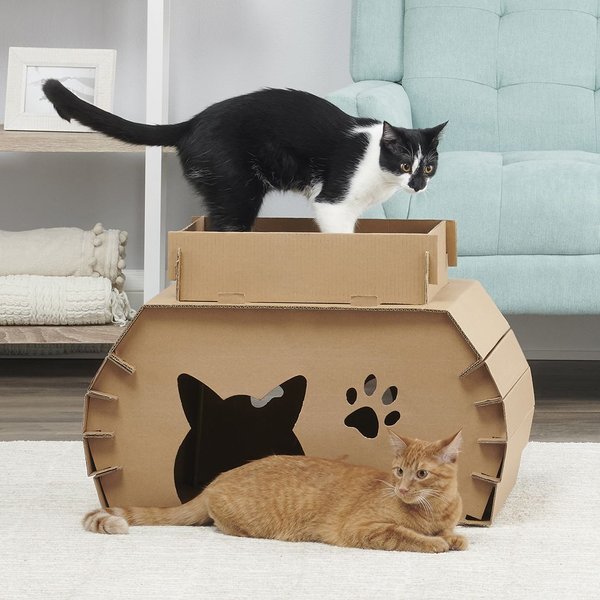 CARLSON PET PRODUCTS Cat Camper & Scratcher - Chewy.com
